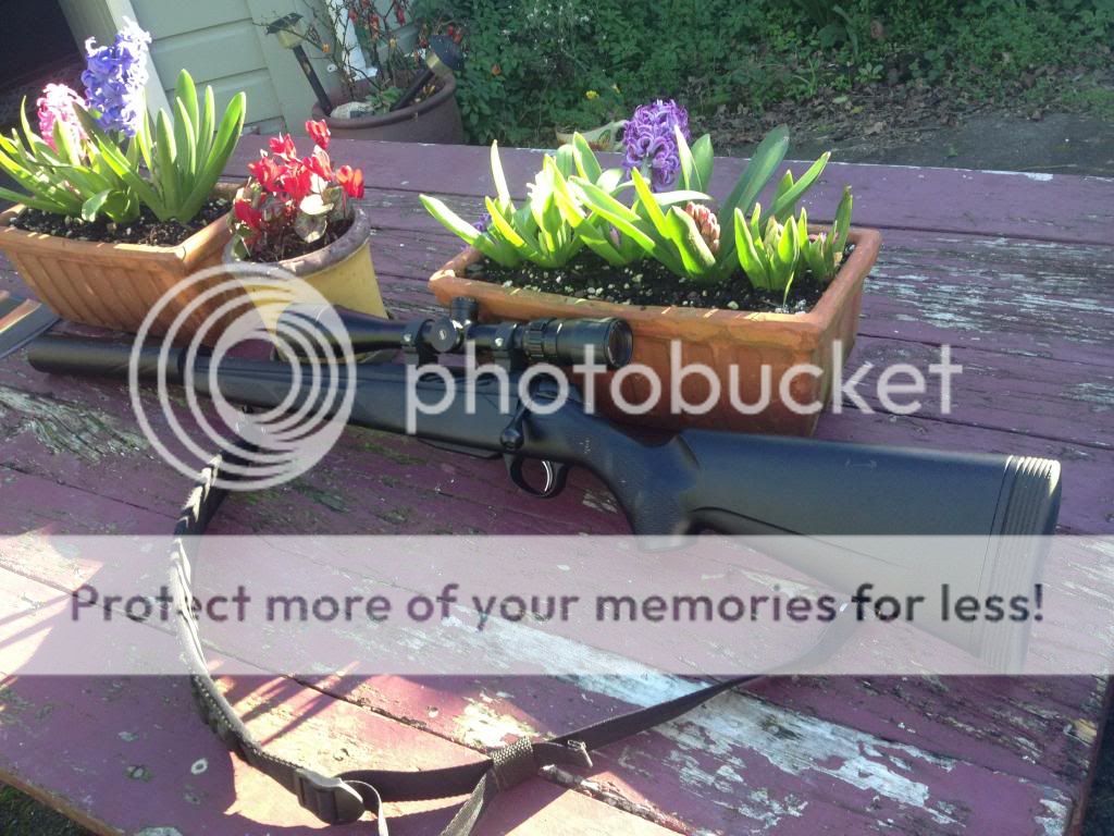 The "Bush Pig" rifle