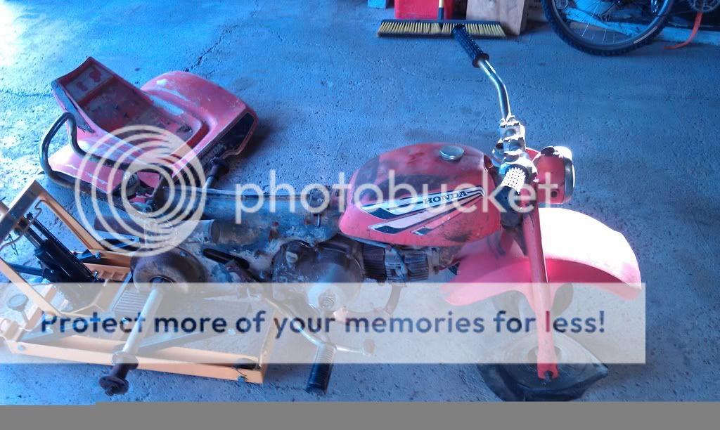 Finished up my '74 atc 90 rebuild | PlanetMinis Forums